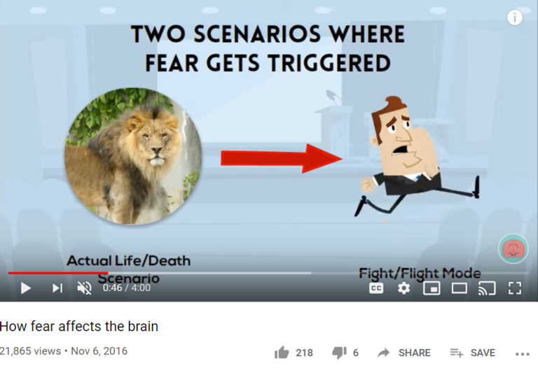 How fear affects the brain - StefanieFaye